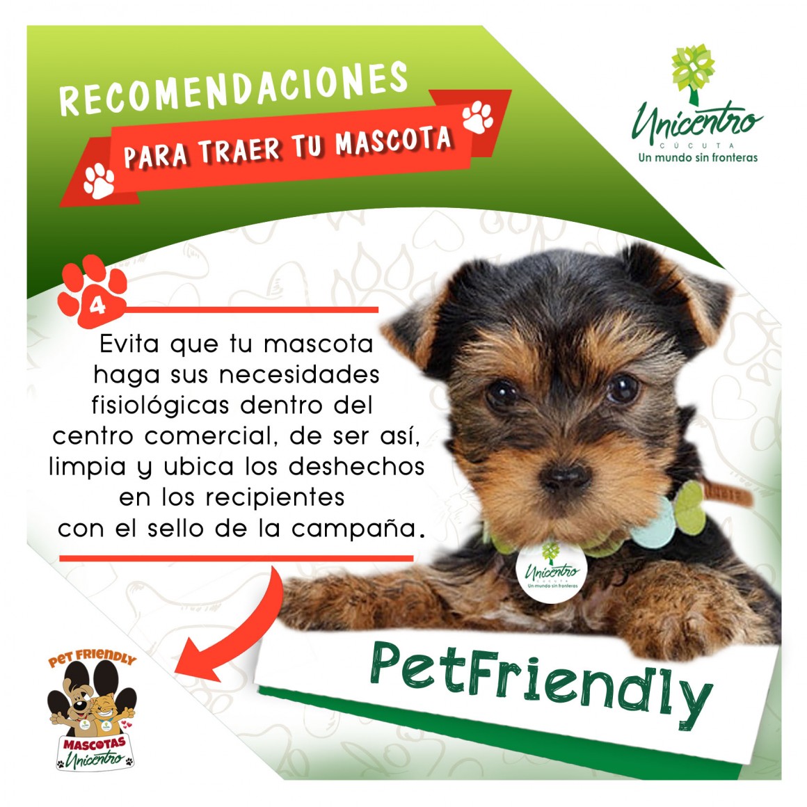 Mascotas Unicentro - Unicentro Cúcuta